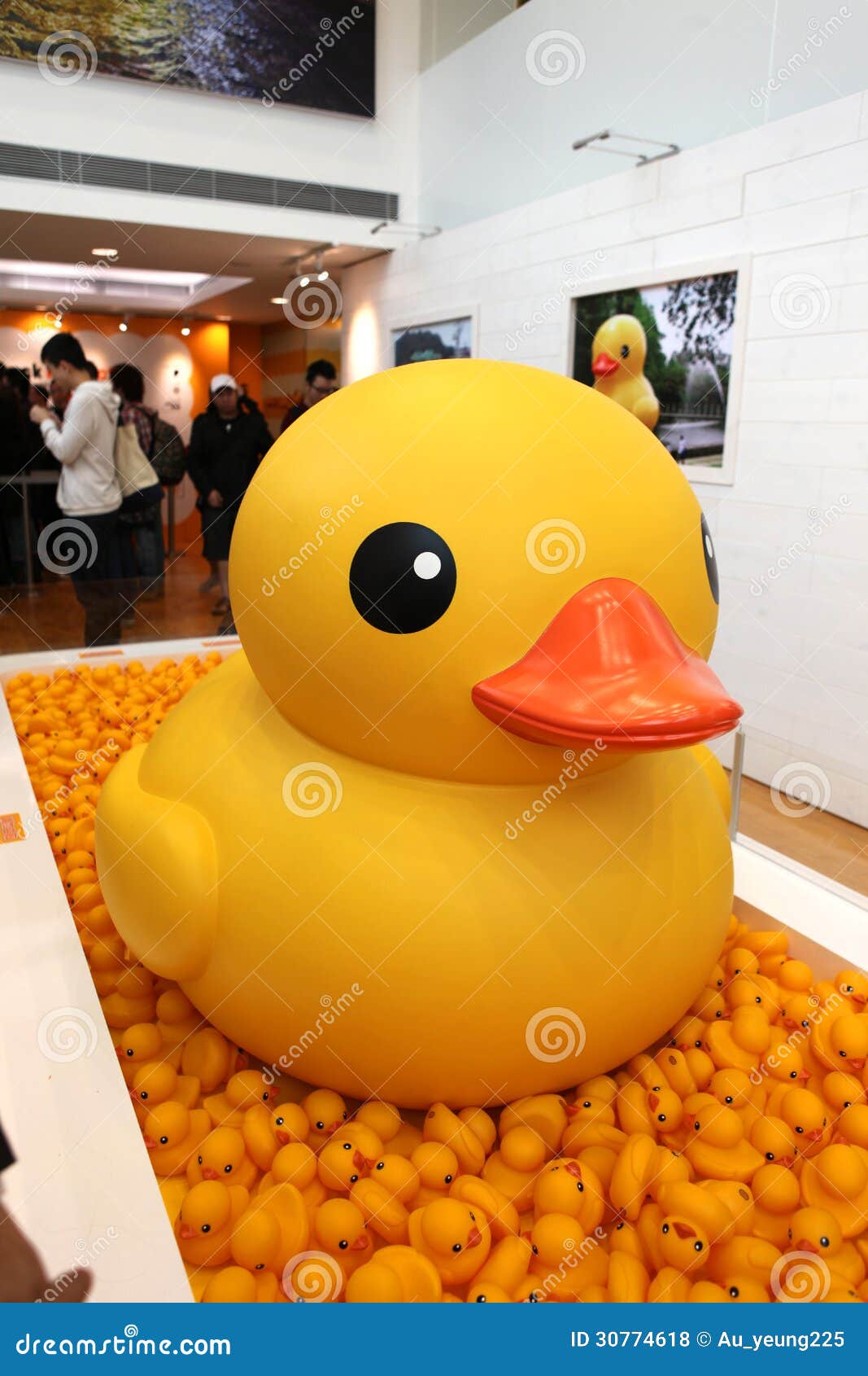 Duck Project De Goma En Hong Kong Foto de archivo editorial - Imagen de ...