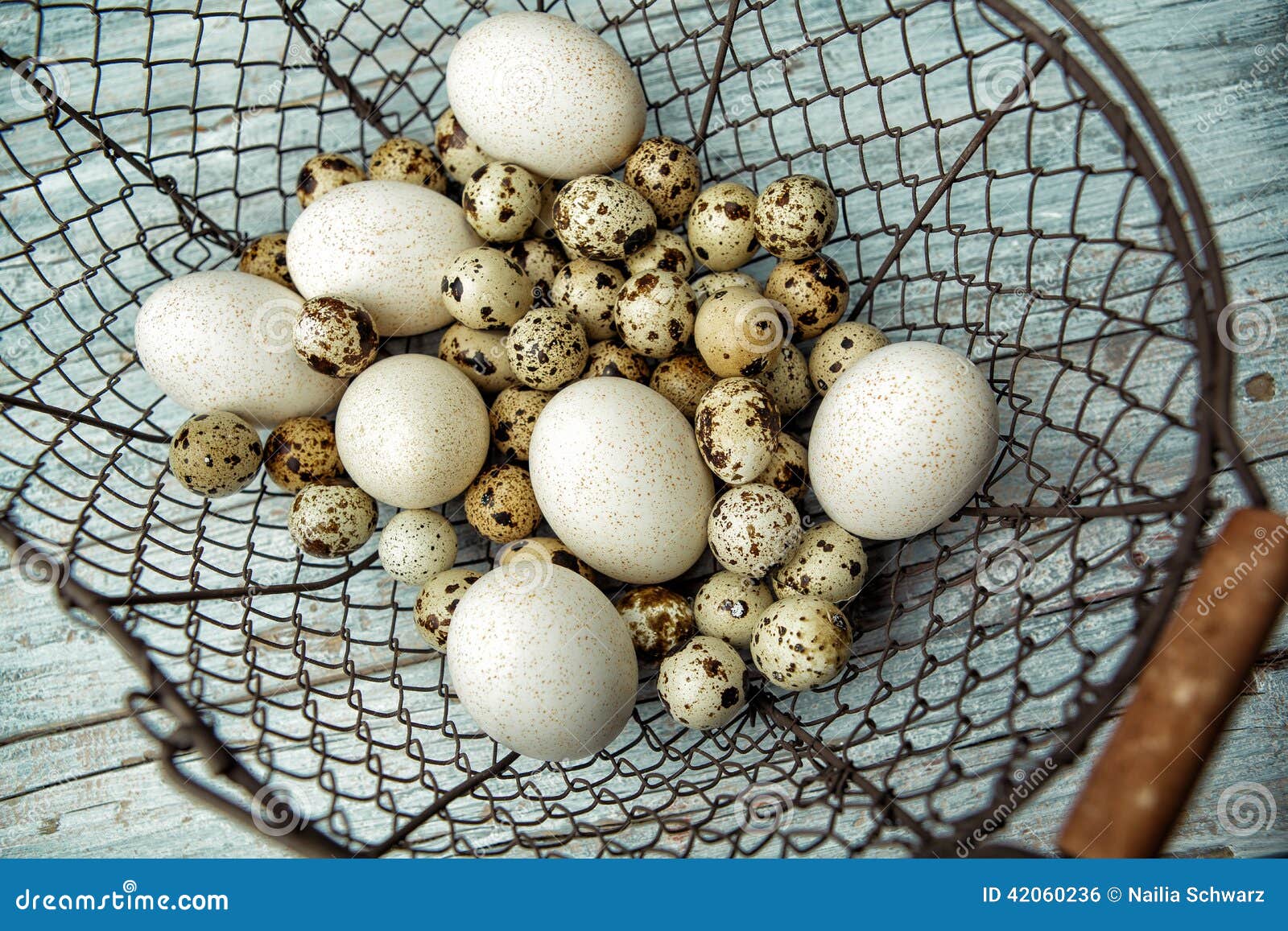 2,454 Quail Duck Stock Photos - Free & Royalty-Free Stock Photos from ...