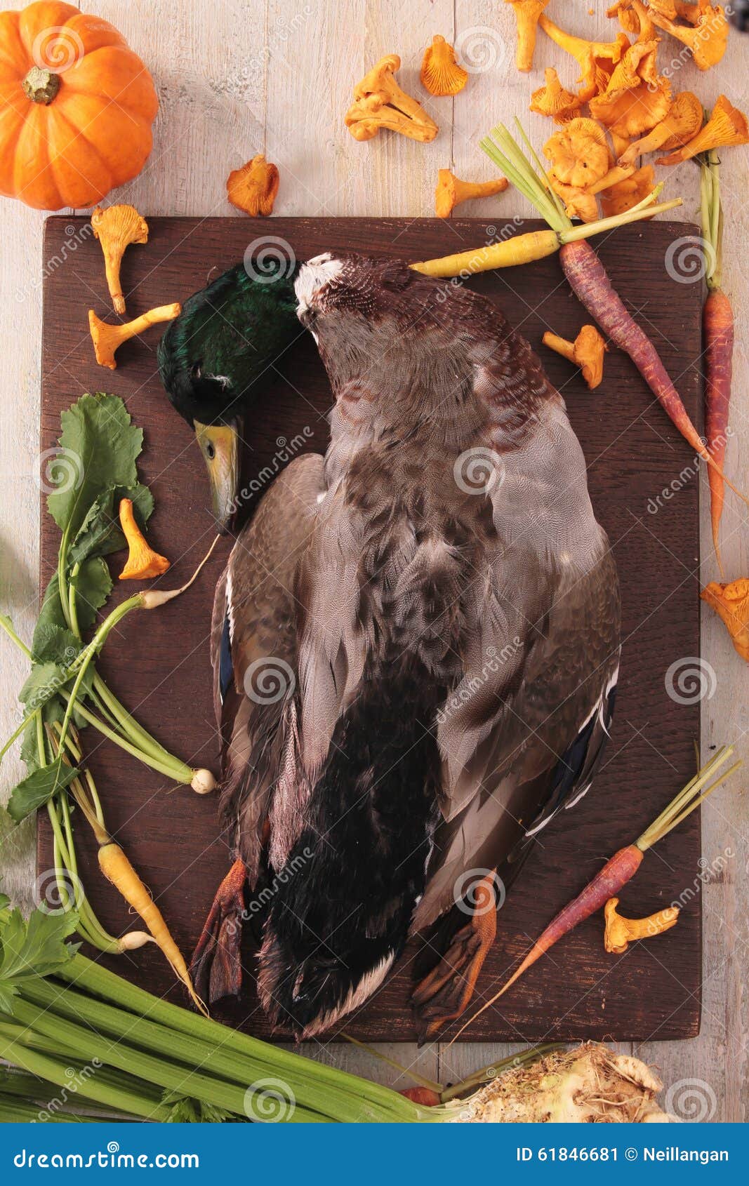 Duck ready for plucking stock image. Image of gourmet - 61846681