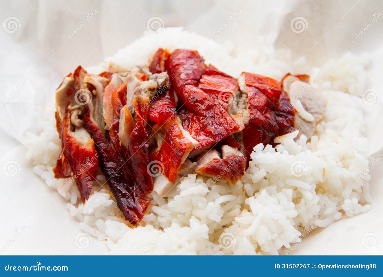 Duck with Rice stock image. Image of barbeque, lunch - 31502267