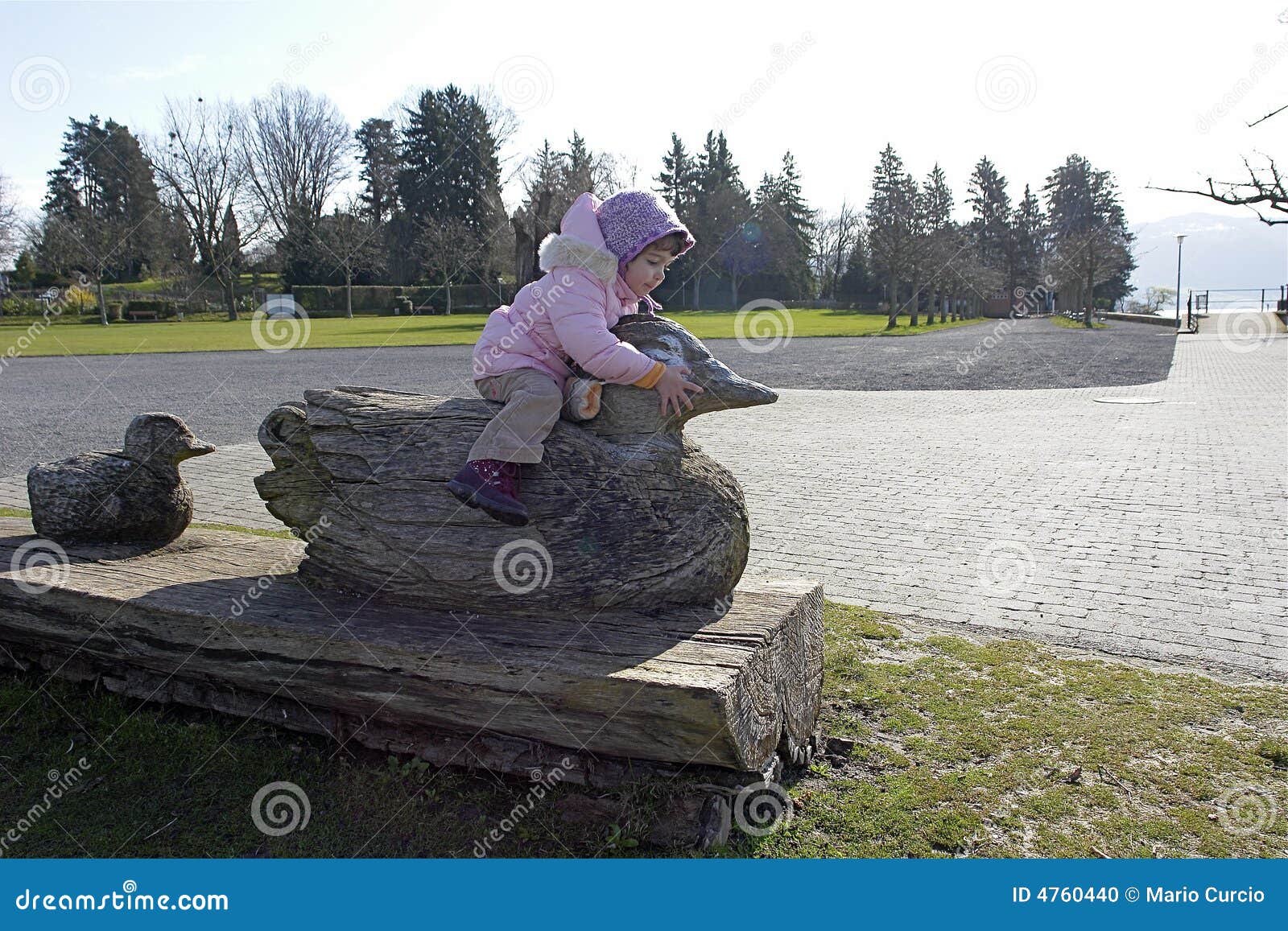 Duck riding stock photo. Image of outdoor, girl, sunny - 4760440