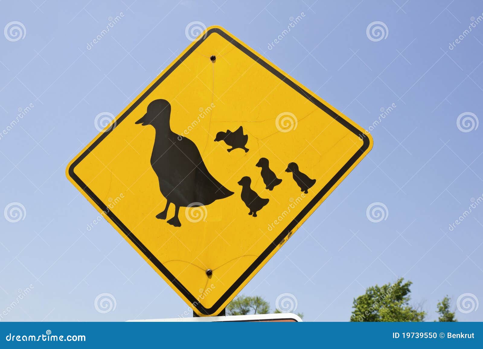 Duck road sign stock photo. Image of four, bird, street - 19739550
