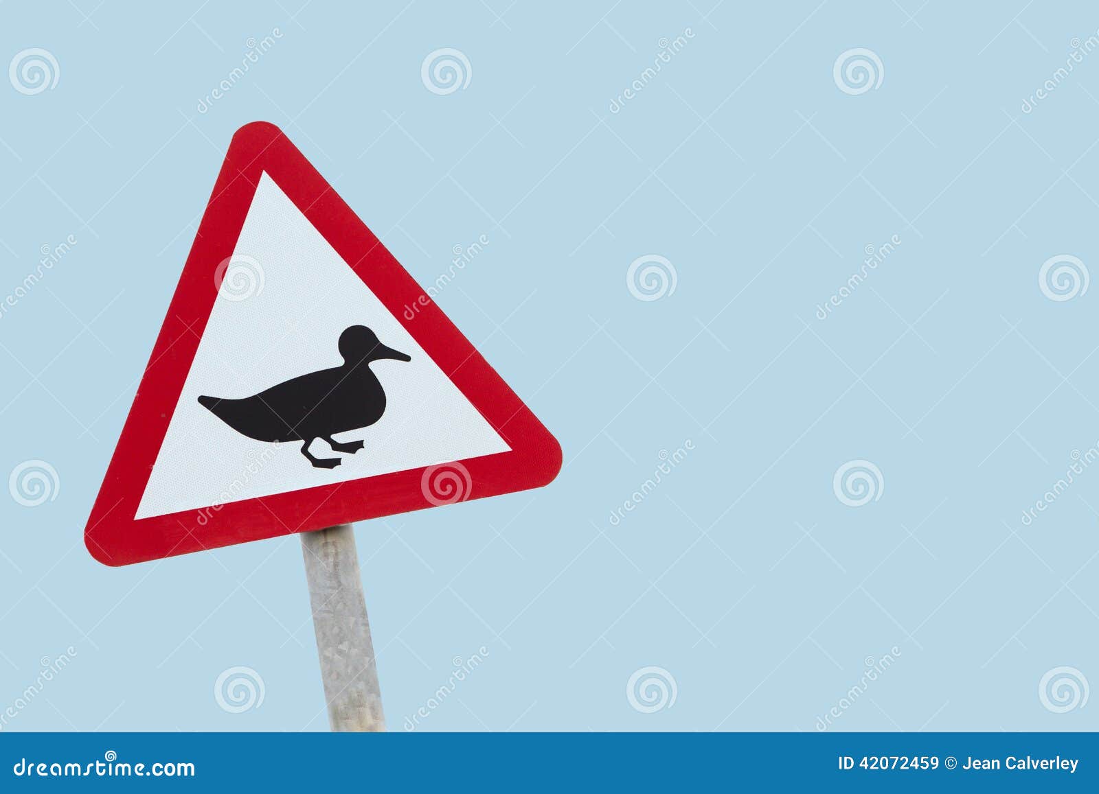 Duck Road Warning Sign with Copy Space Stock Image - Image of blue ...