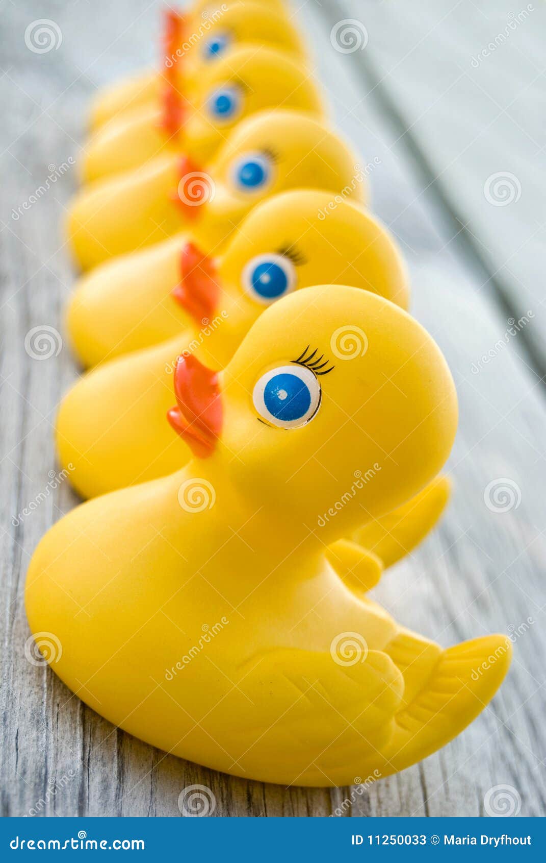 Duck Row stock image. Image of bold, identical, conceptual - 11250033