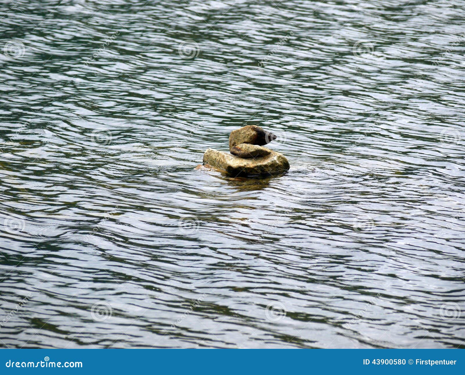 Duck Shape Stone in Middle of Water Stock Photo - Image of middle ...