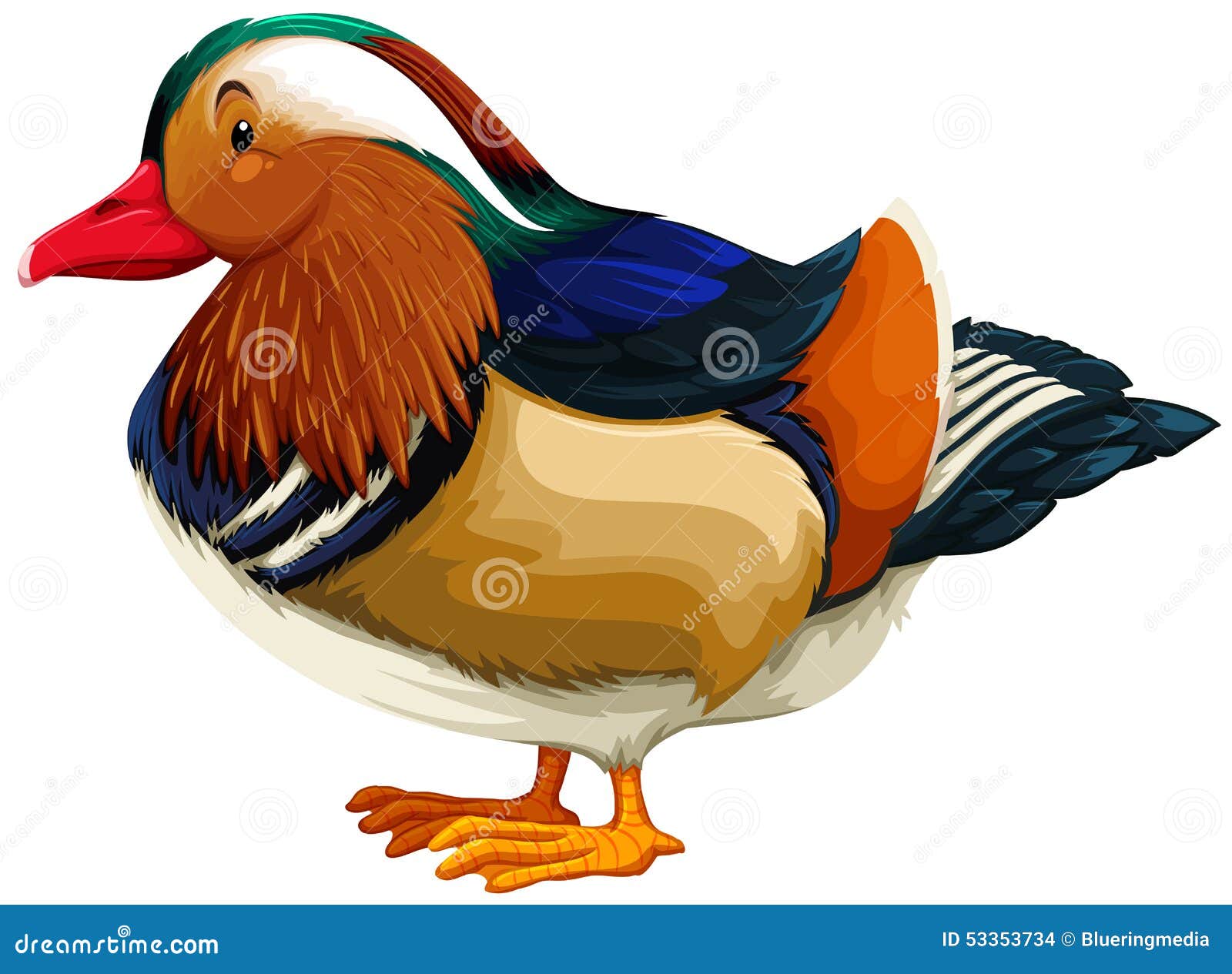 A duck stock vector. Illustration of cartoon, duck, feather - 53353734