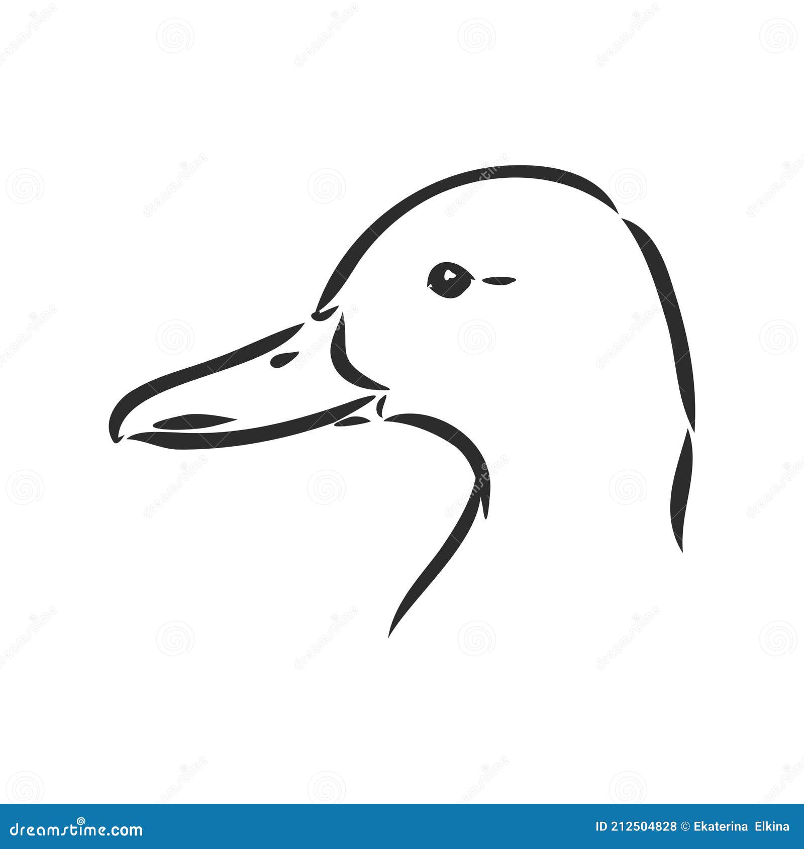 Duck Sketch Vector Illustration,isolated on White Background,animals ...