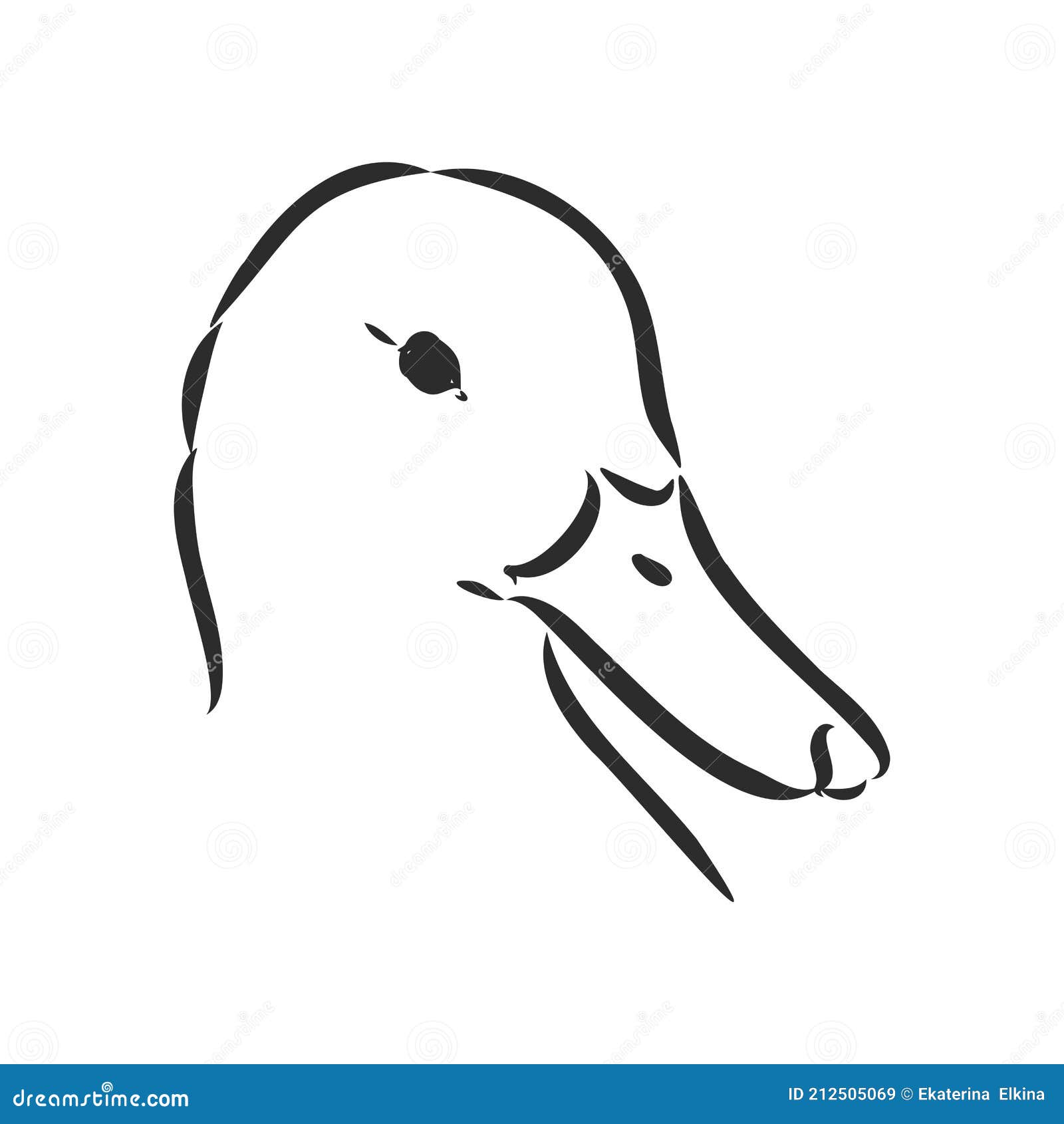 Duck Sketch Vector Illustration,isolated On White Background,animals ...