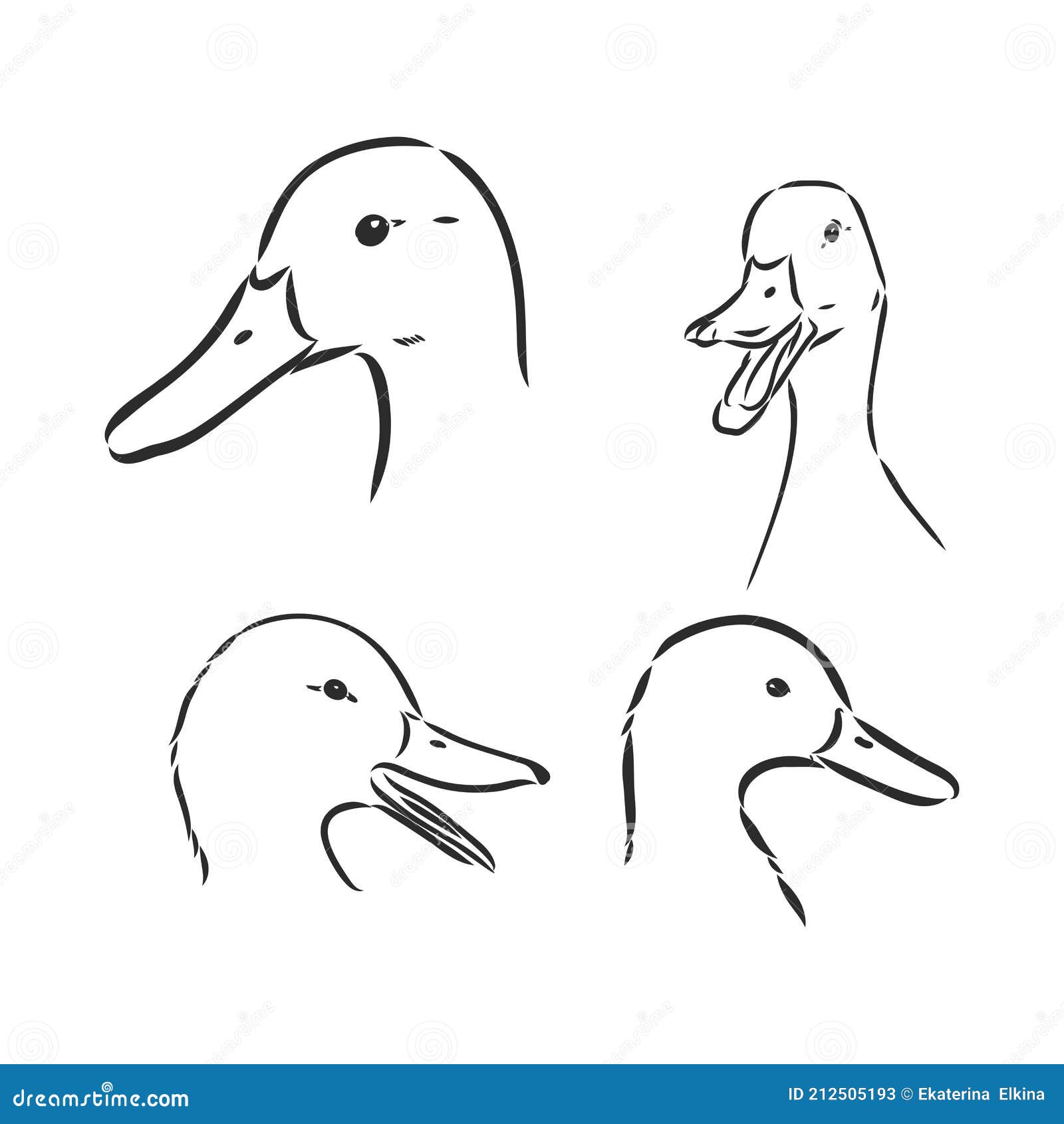 Duck Sketch Vector Illustration,isolated on White Background,animals ...
