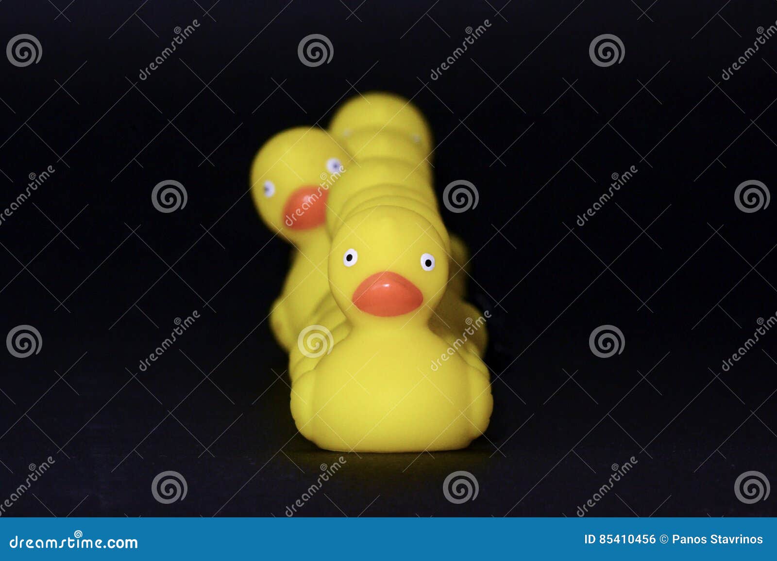 Duck society stock photo. Image of fake, human, ducks - 85410456