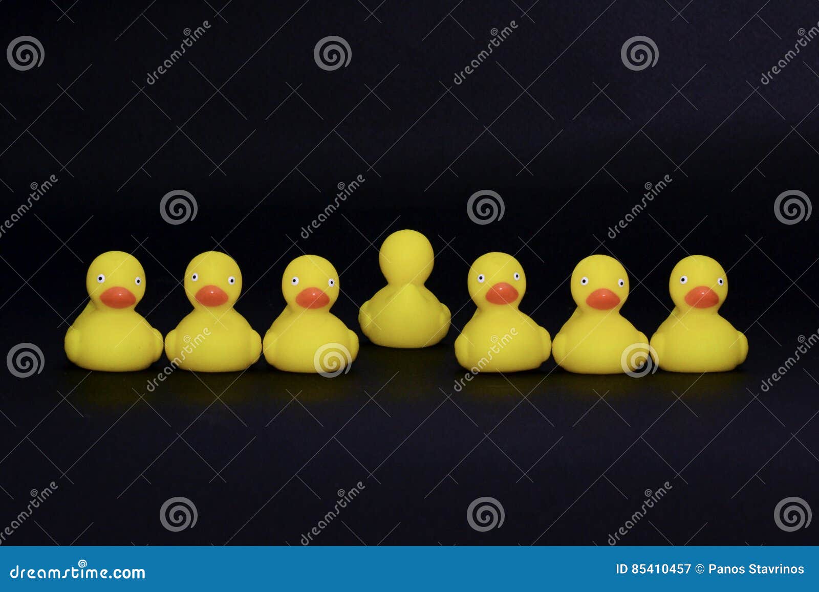 Duck society stock image. Image of beings, distinguish - 85410457