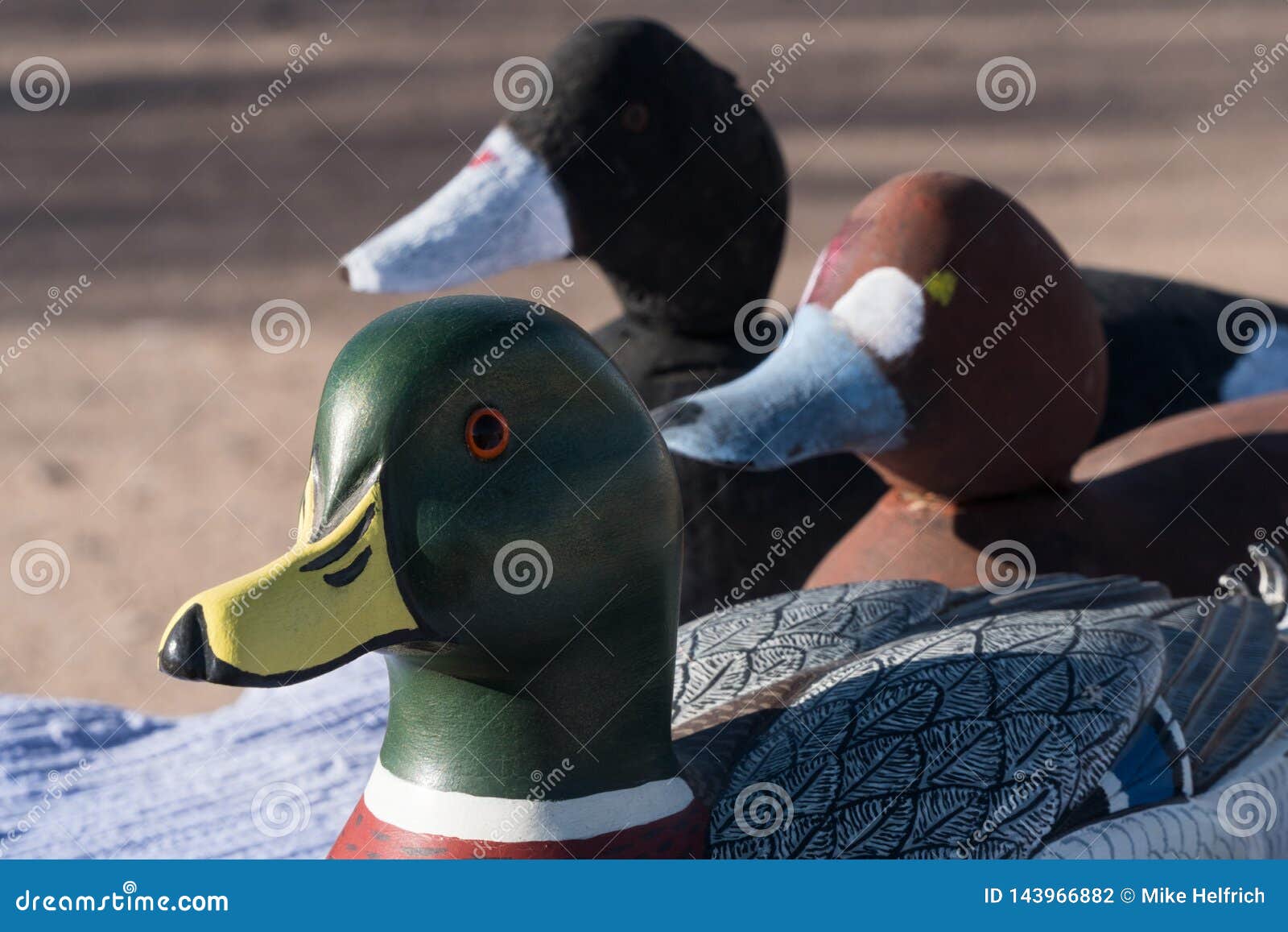 This Duck Stands Out from the Rest Stock Photo - Image of wooden ...