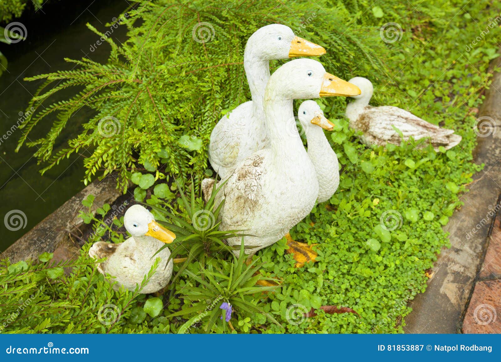 Duck statue stock image. Image of decor, city, fall, family - 81853887