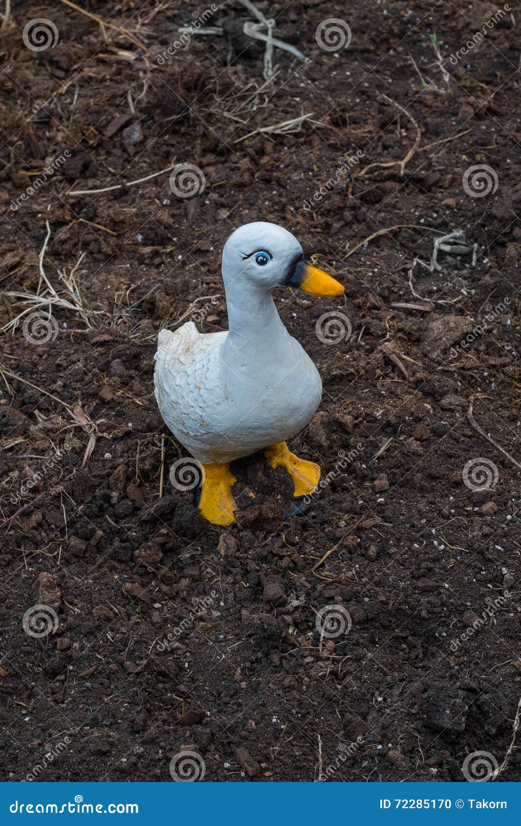 Duck Statue Sneak in the Garden. Stock Photo - Image of ornate, animal ...
