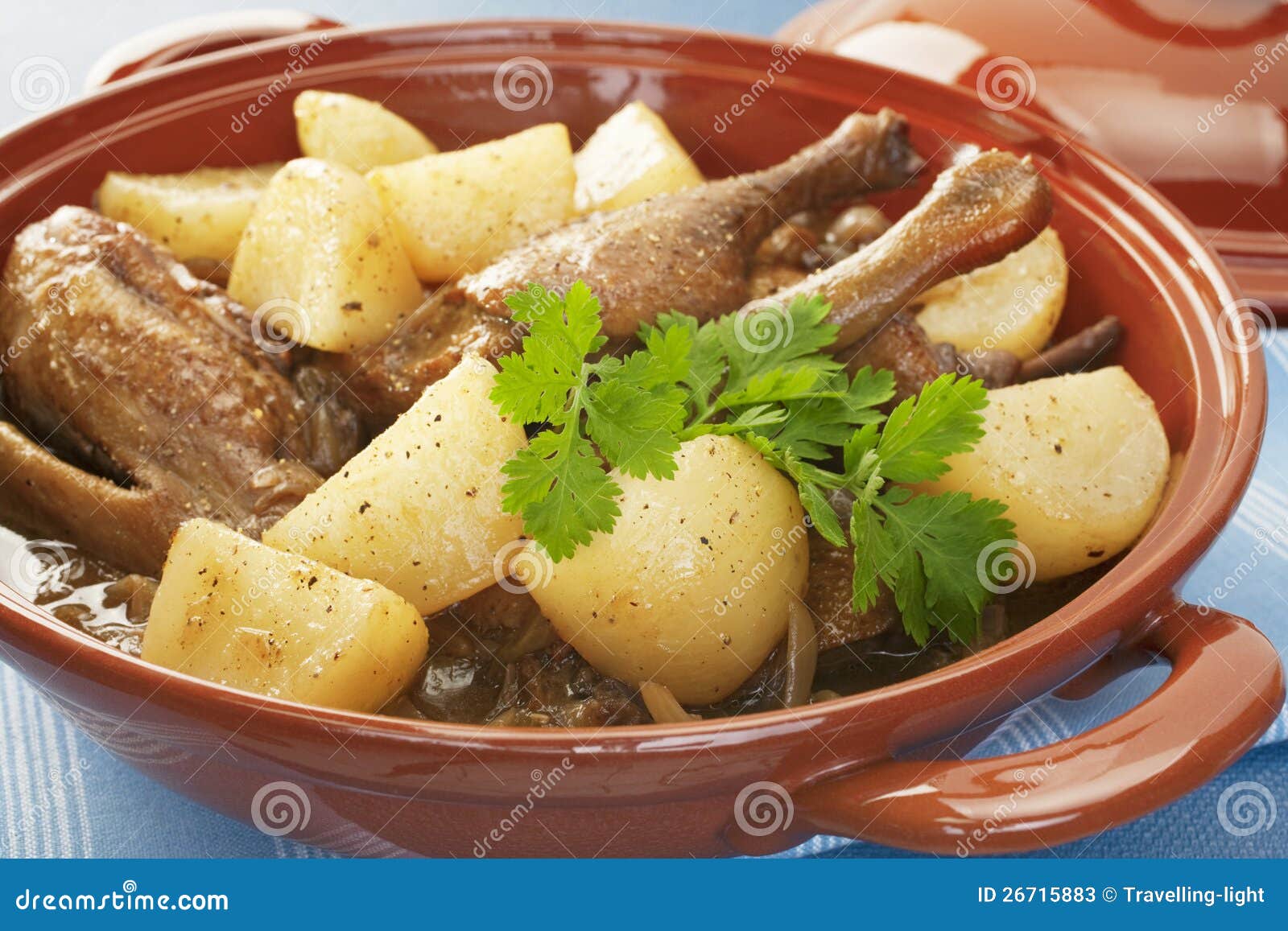 Duck Stew with Turnips stock image. Image of earthenware - 26715883