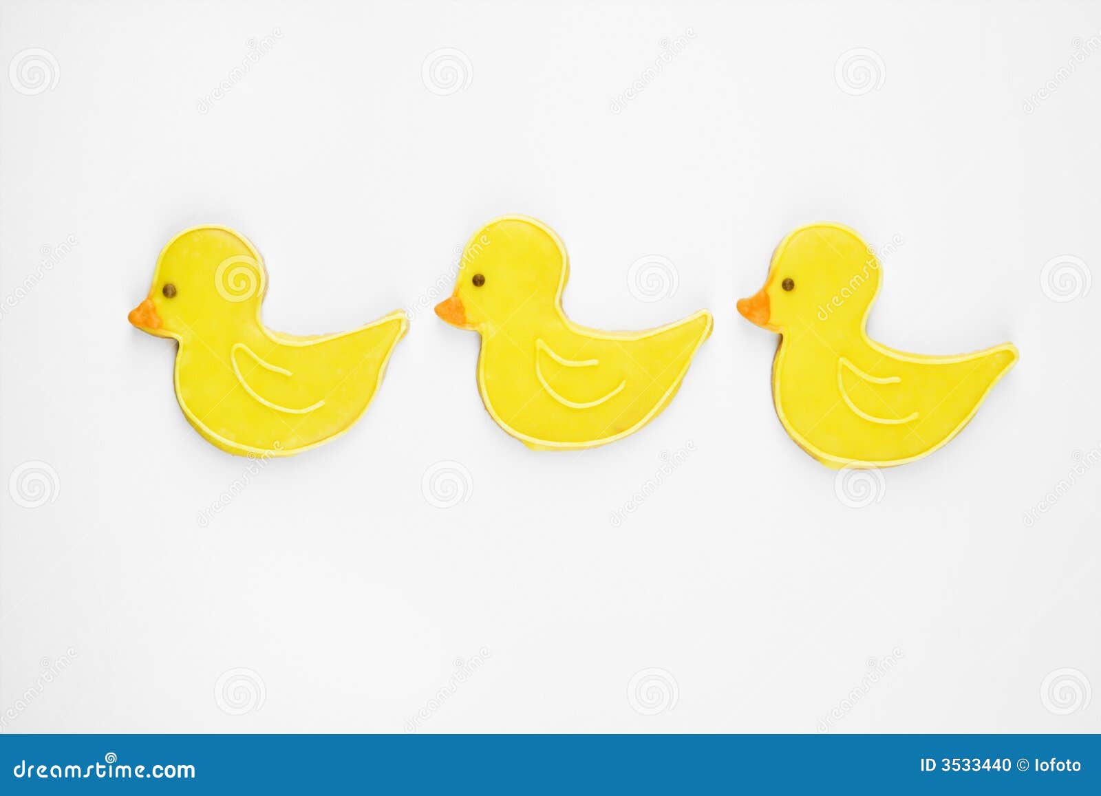 Duck sugar cookies. stock photo. Image of life, copy, sweets - 3533440