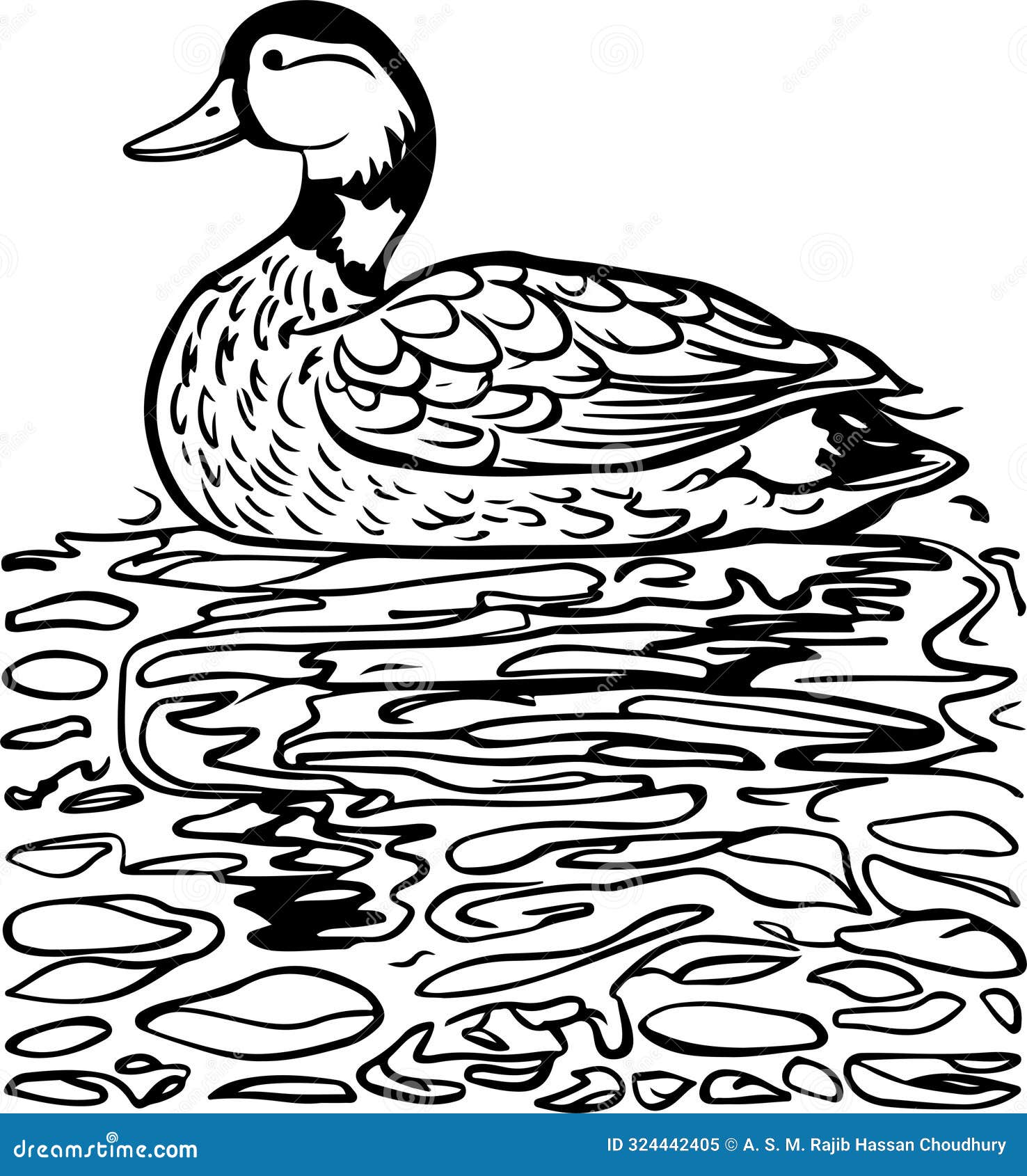 Duck swimming in water stock illustration. Illustration of outline ...