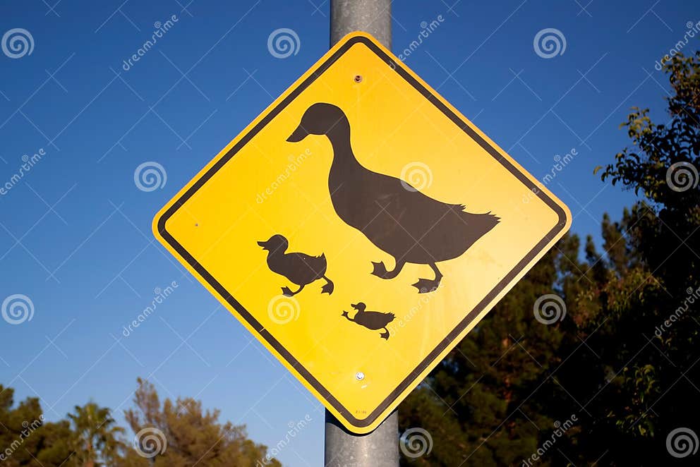 Duck traffic sign stock photo. Image of post, outdoor - 12068228