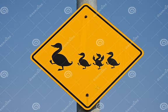 Duck traffic sign stock image. Image of traffic, cross - 13445233