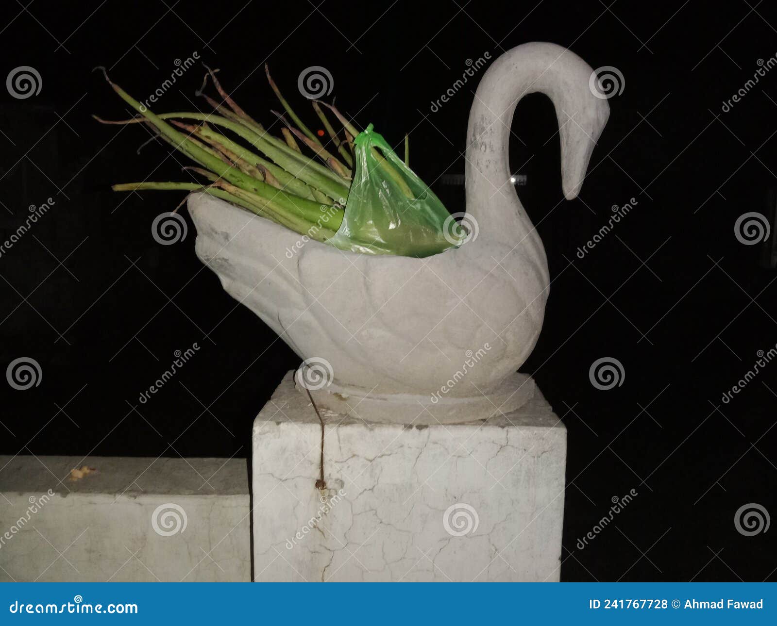 Duck vase flower stock photo. Image of tree, vase, flower - 241767728