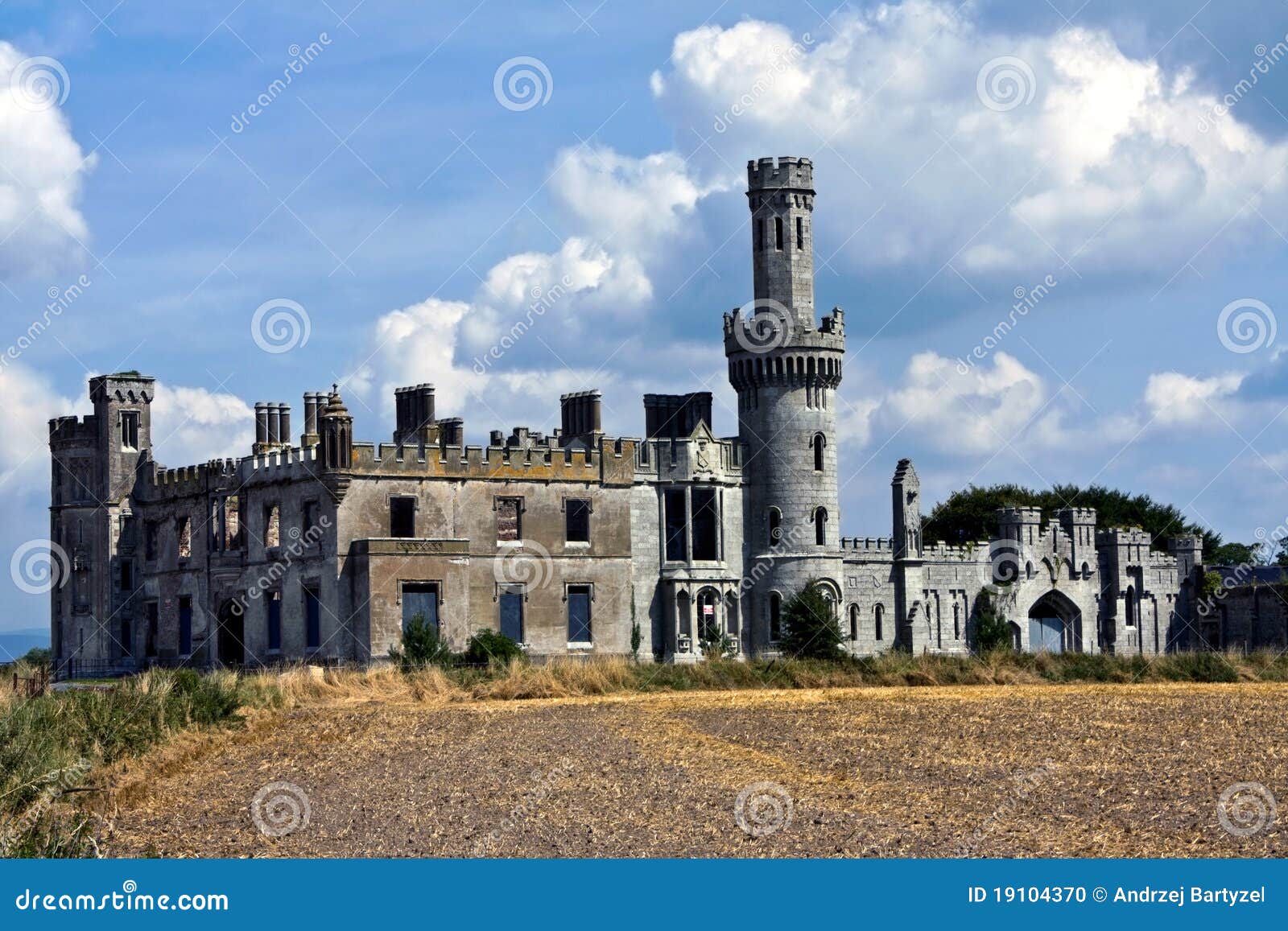 Duckett s Grove Castle stock photo. Image of entrance - 19104370