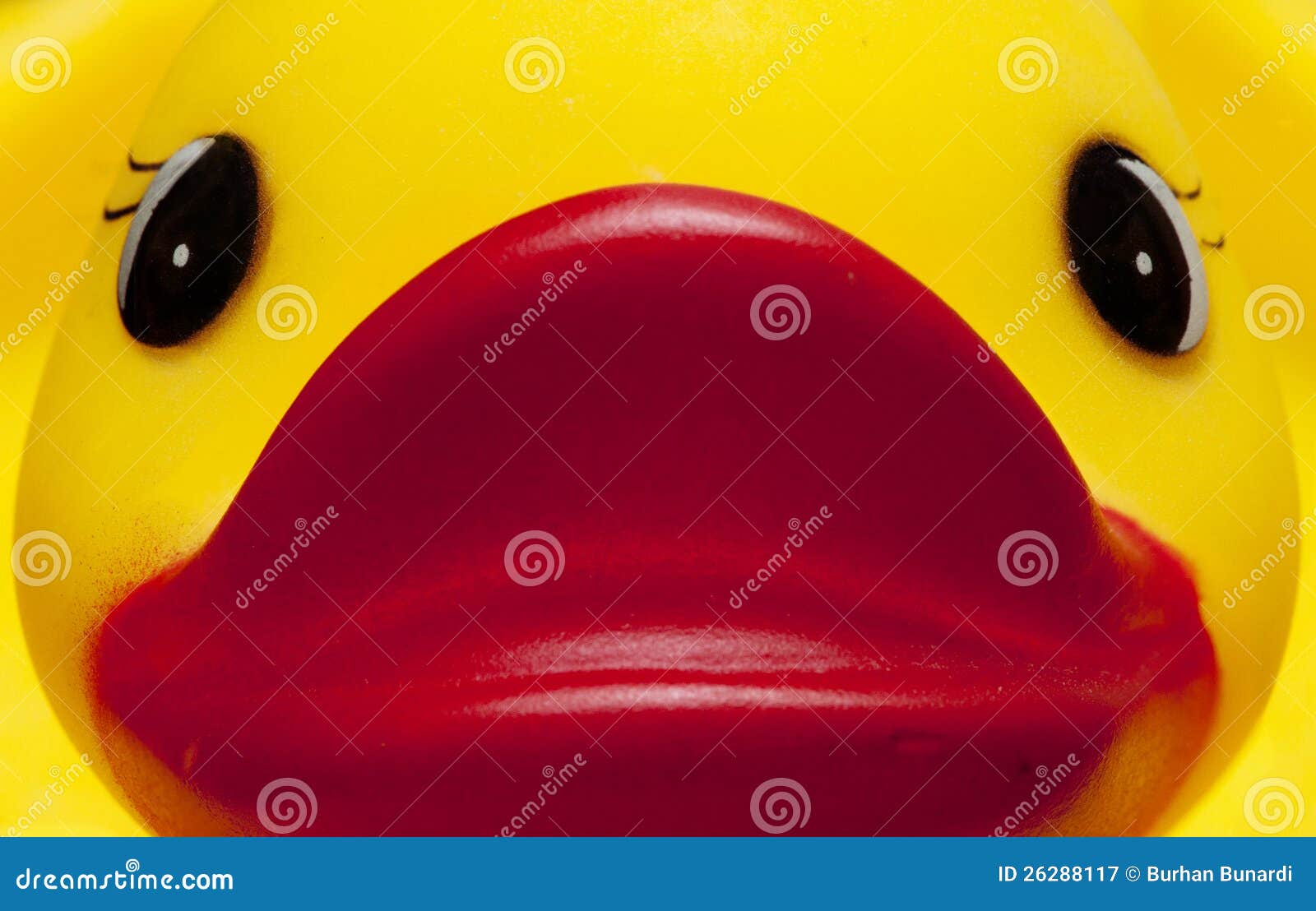 Duckie close-up stock image. Image of baby, plastic, rubber - 26288117