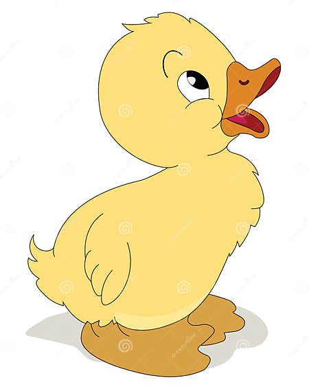 Ducking stock vector. Illustration of funny, drake, isolated - 86166247