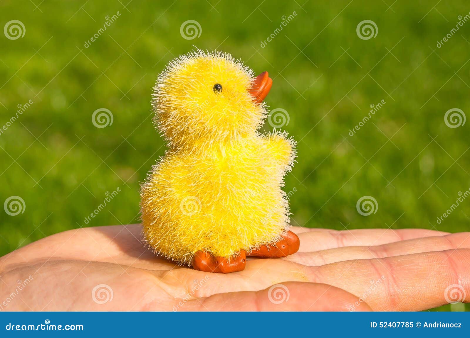Ducking on the hand stock image. Image of season, varicolored - 52407785
