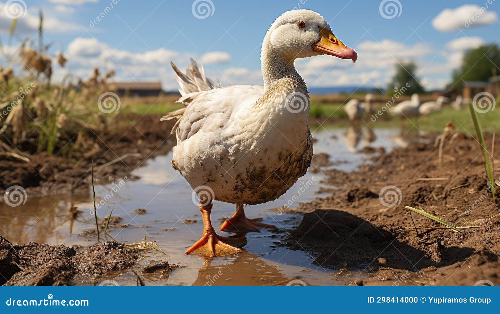 Duckling Waddling in Meadow, Reflecting Beauty of Nature Generated by ...