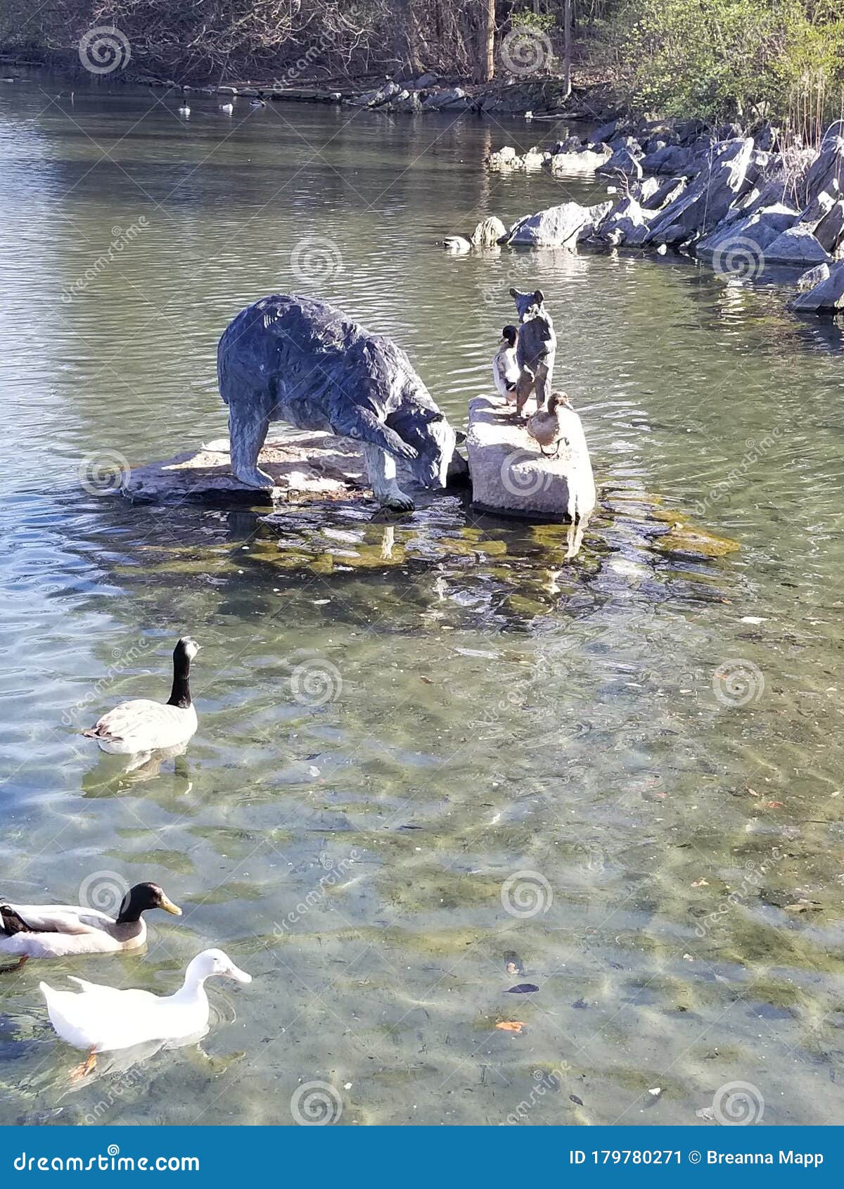 Ducks Around Bear Sculpture Stock Image - Image of blue, animal: 179780271