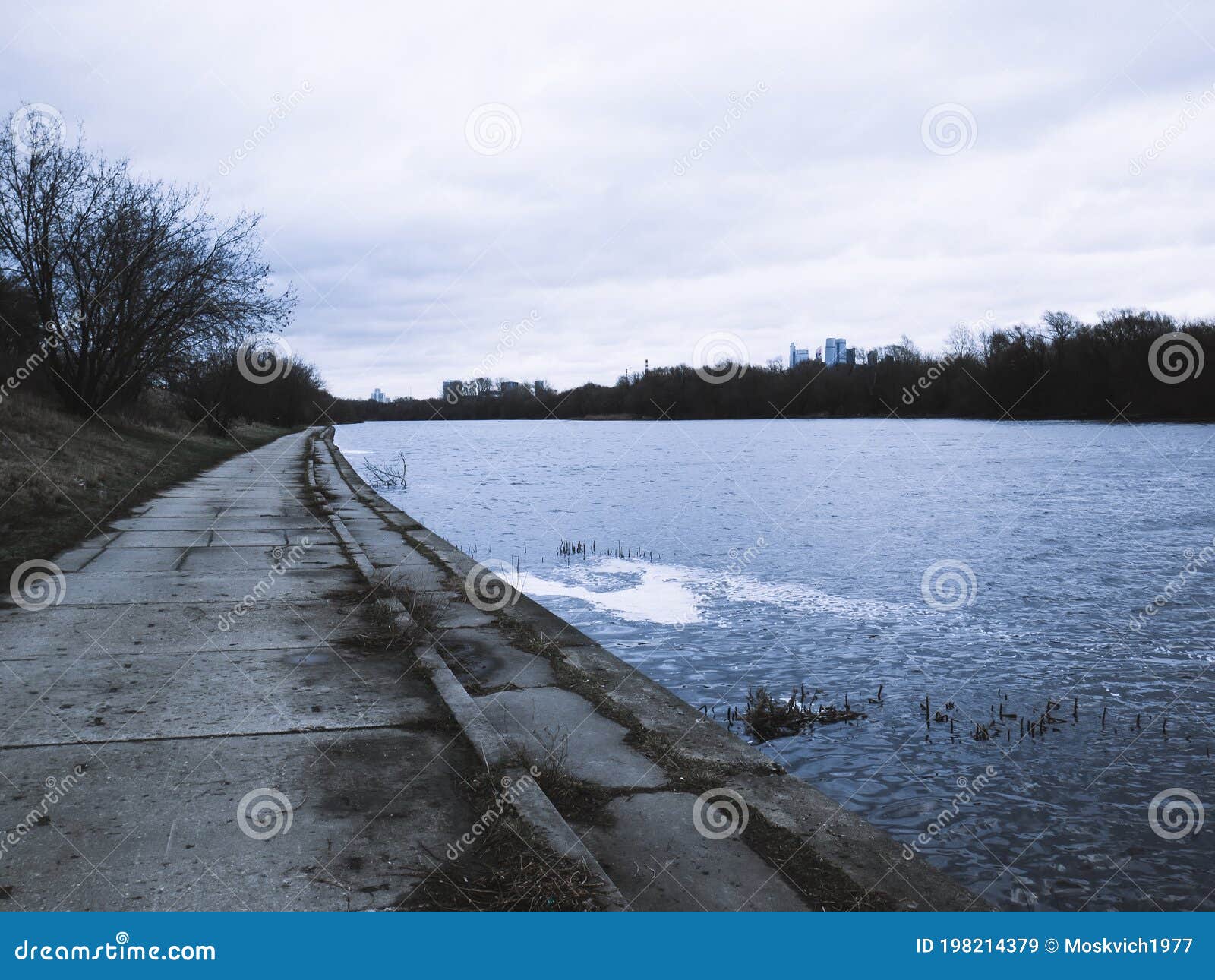 Ducks On The Embankment Of The Volga Canal In The Port In Spring ...