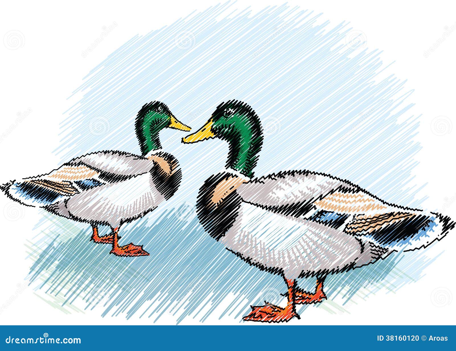 Ducks on a farm stock vector. Illustration of neck, domestic - 38160120