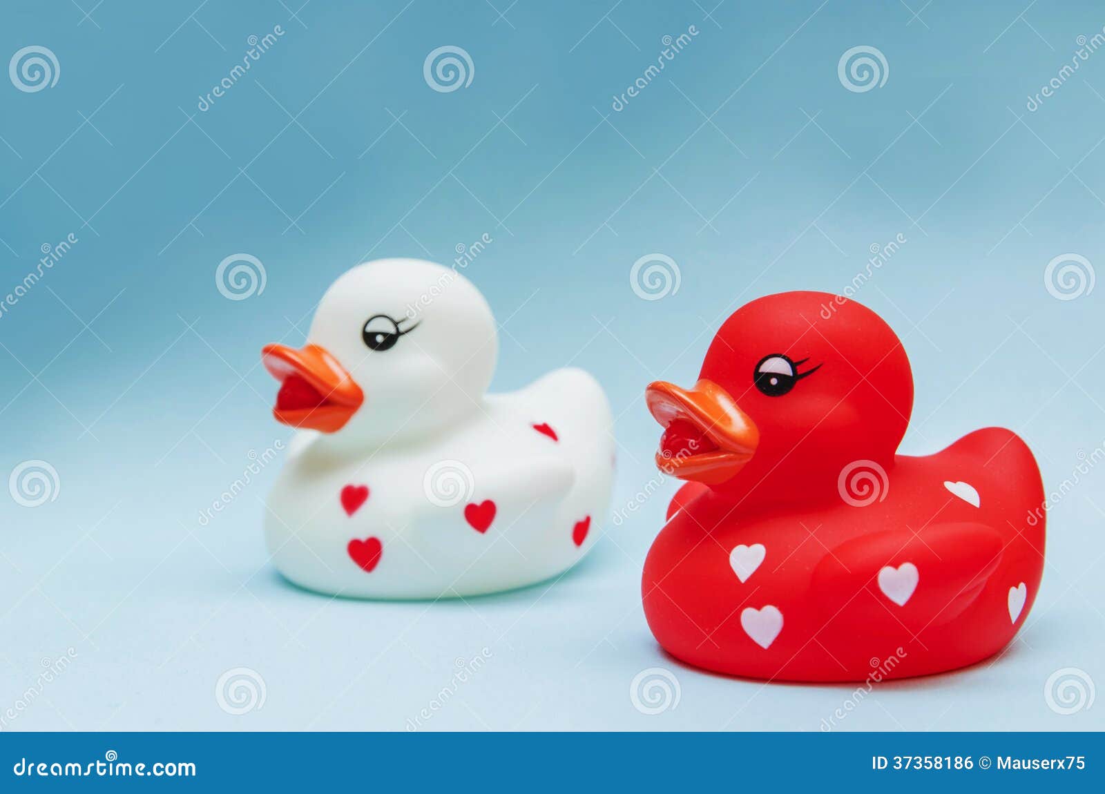 Ducks Friends stock photo. Image of gift, ducks, plastic - 37358186