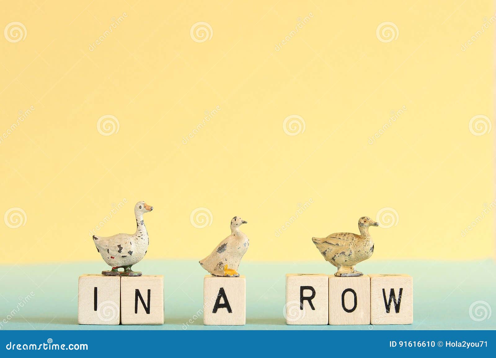Ducks iin a row stock photo. Image of close, colorful - 91616610