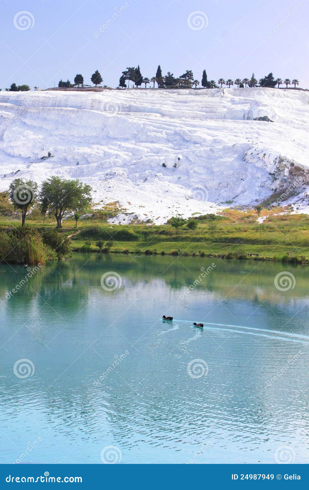 Lake natron calcified animals color - aslarticles