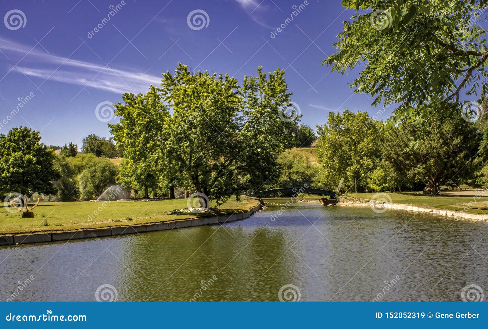 Ducks Line Up stock image. Image of lake, ducks, waterscape - 152052319