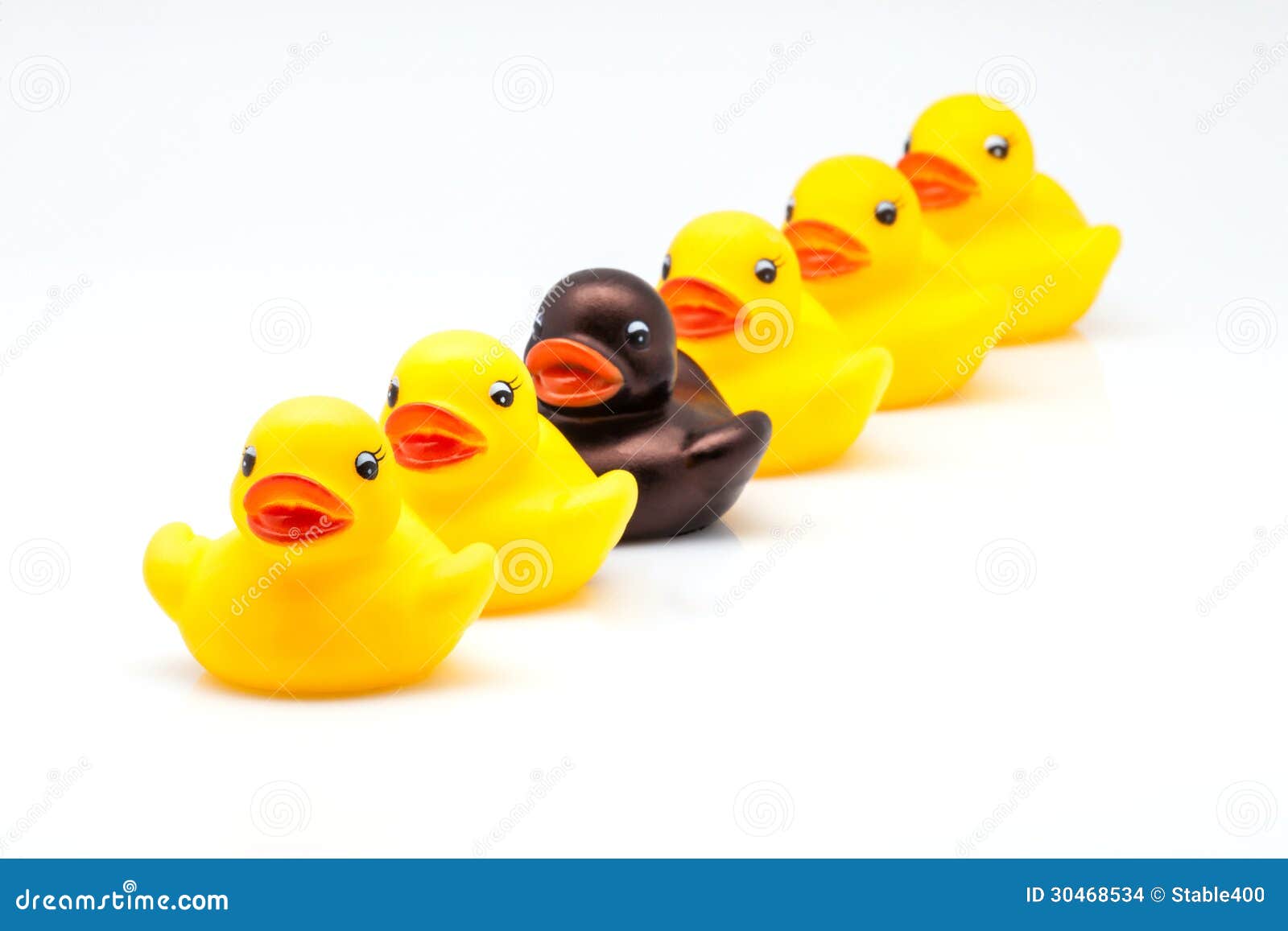 Ducks line stock photo. Image of comparison, male, leadership - 30468534
