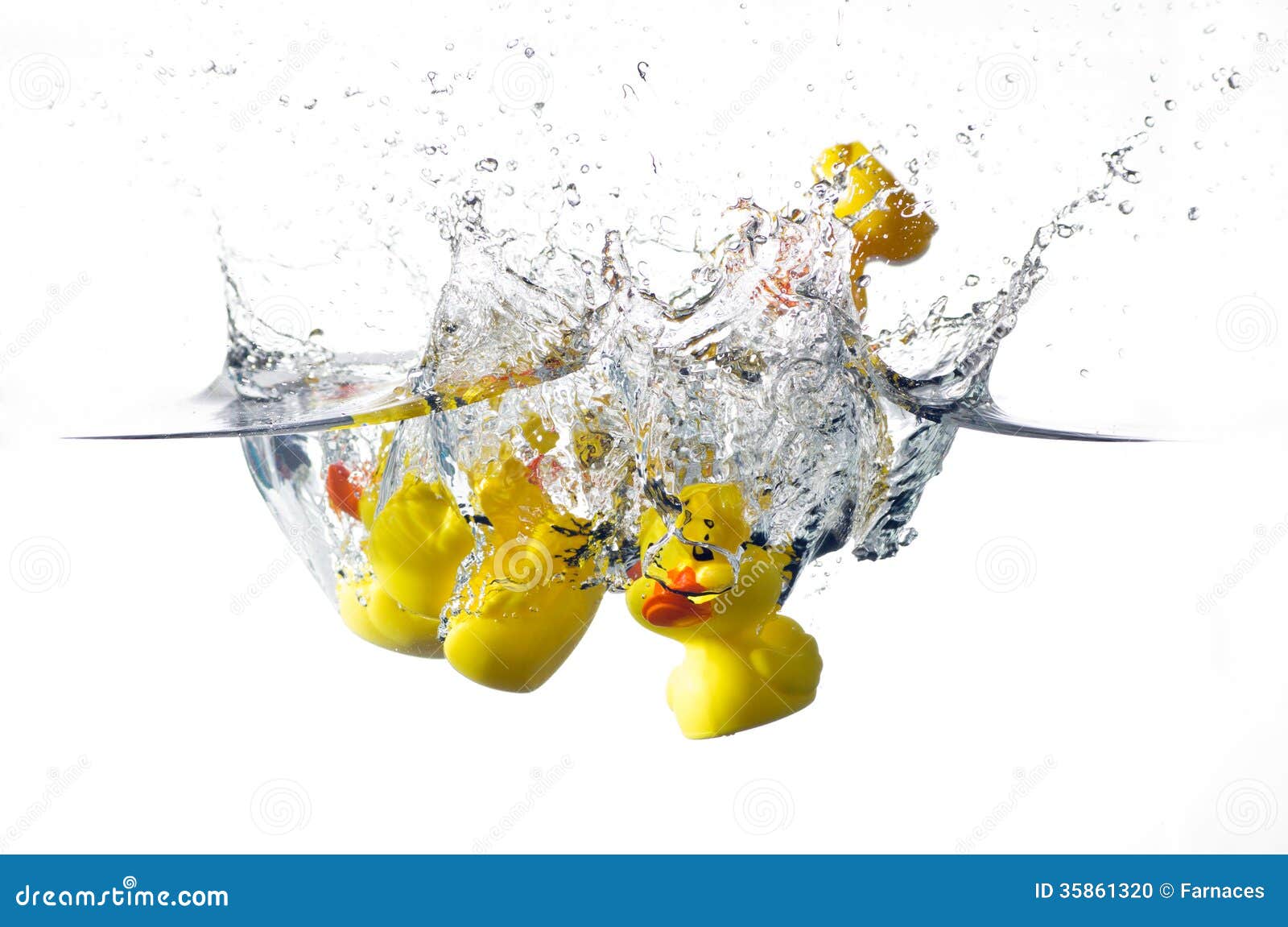 Ducks splash stock photo. Image of outdoor, cute, leisure - 35861320