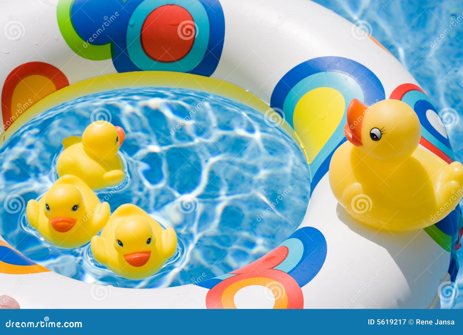 Ducks in Summer stock image. Image of colorful, summer - 5619217
