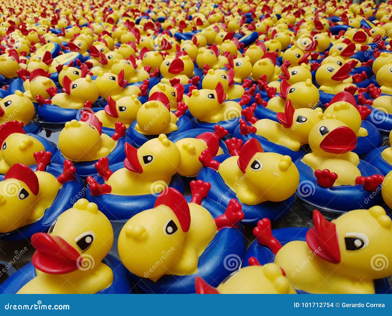 Ducky bath stock photo. Image of ducky, bath, patitos - 101712754