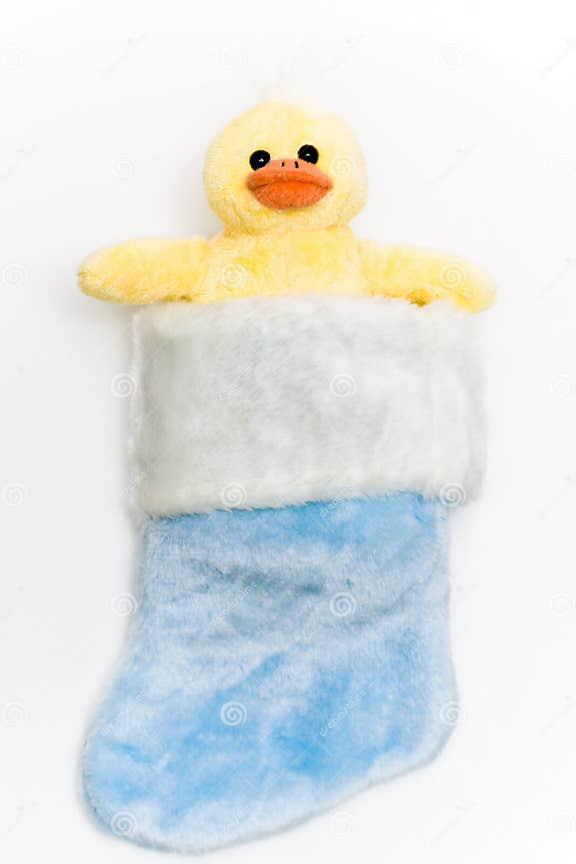 Ducky in Blue Stocking stock photo. Image of delicate - 14756020