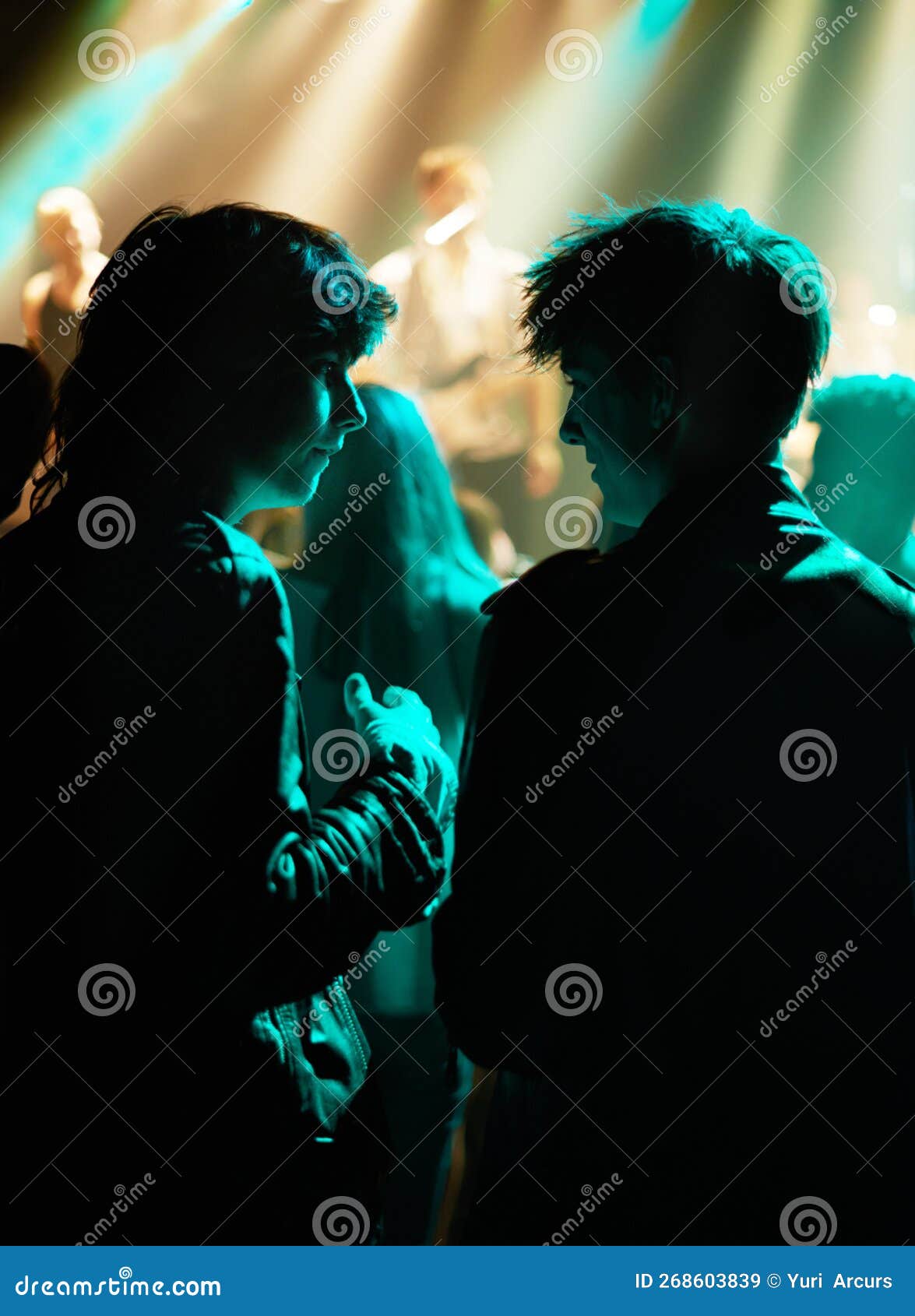 Dude. this Band is Awesome. a Crowd at a Music Concert. Stock Image ...