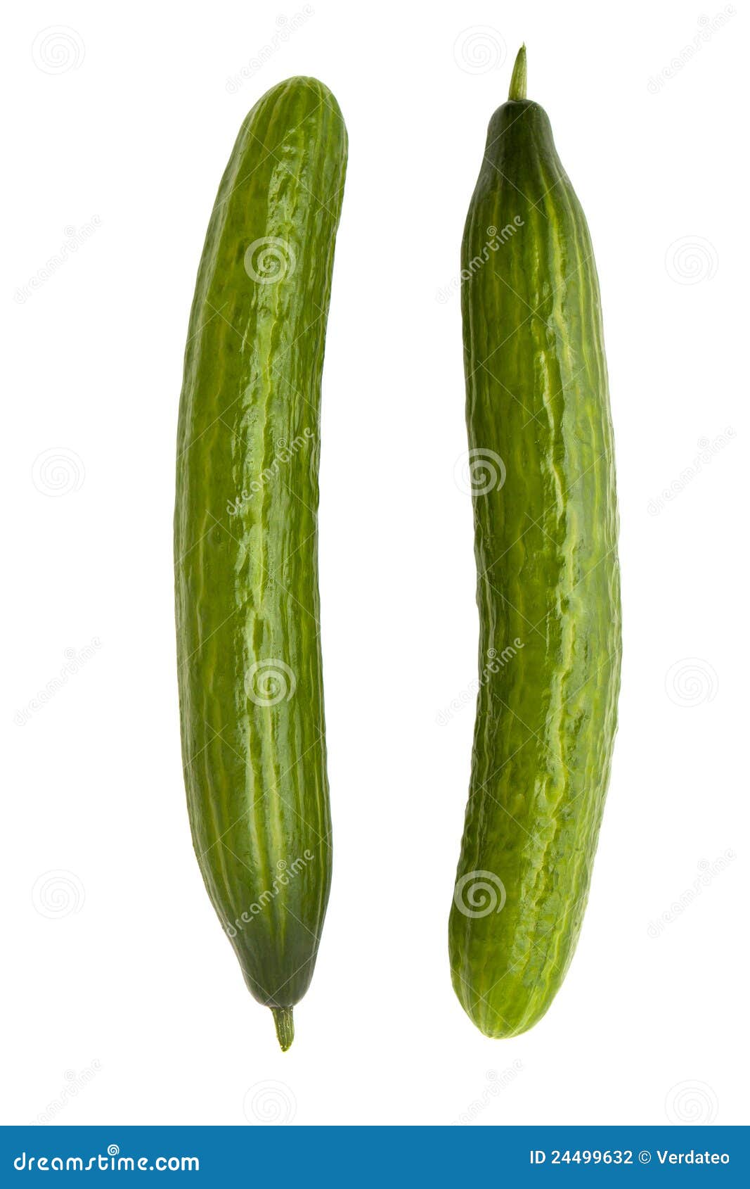 Due cetrioli lunghi fotografia stock. Immagine di nutrizione - 24499632