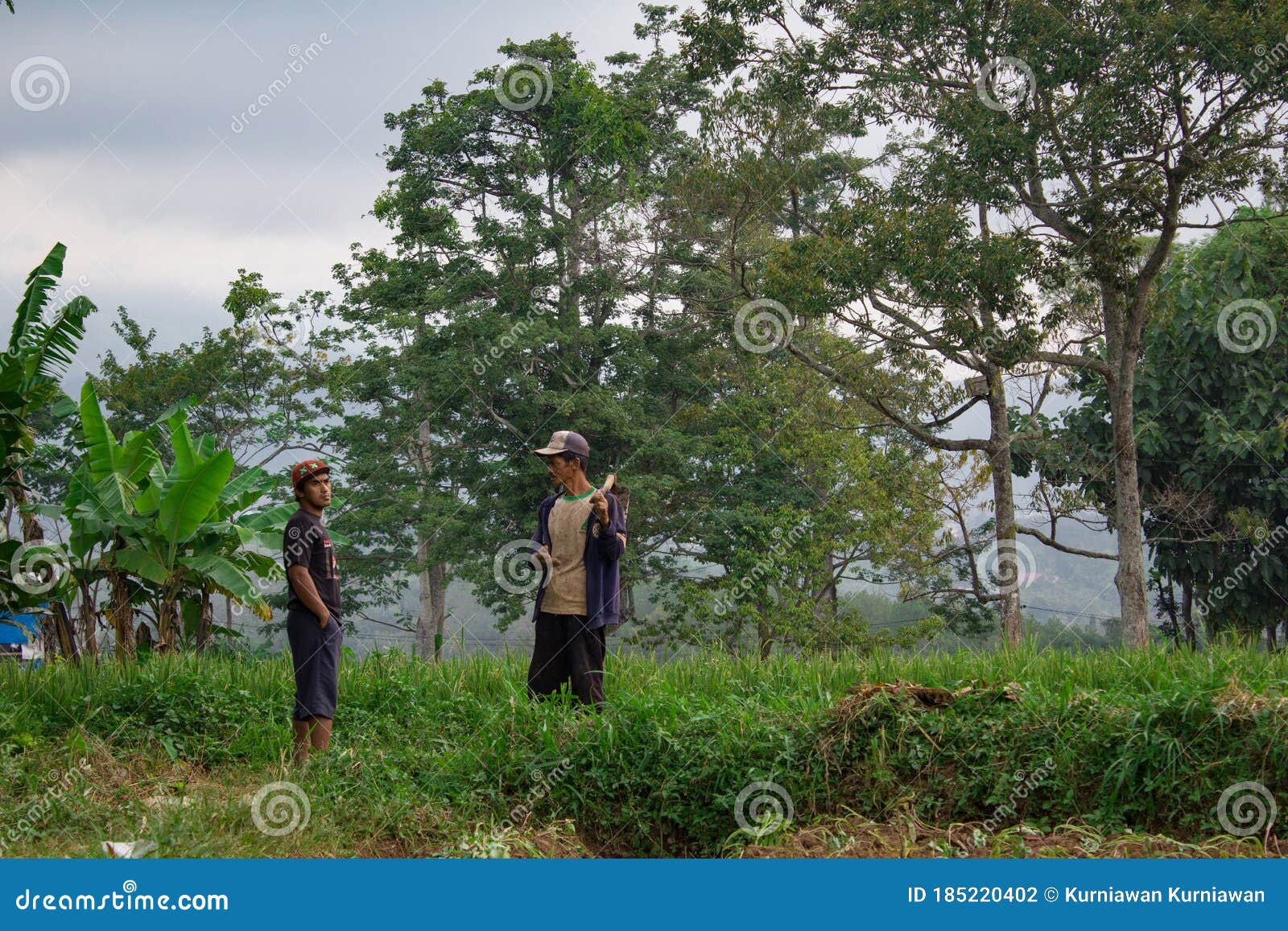 Due Contadini Stanno Parlando Fotografia Stock - Immagine di persona ...