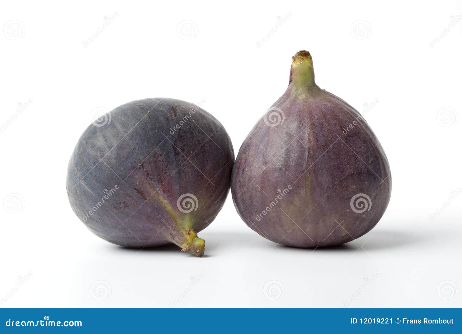 Due fichi freschi immagine stock. Immagine di alimento - 12019221