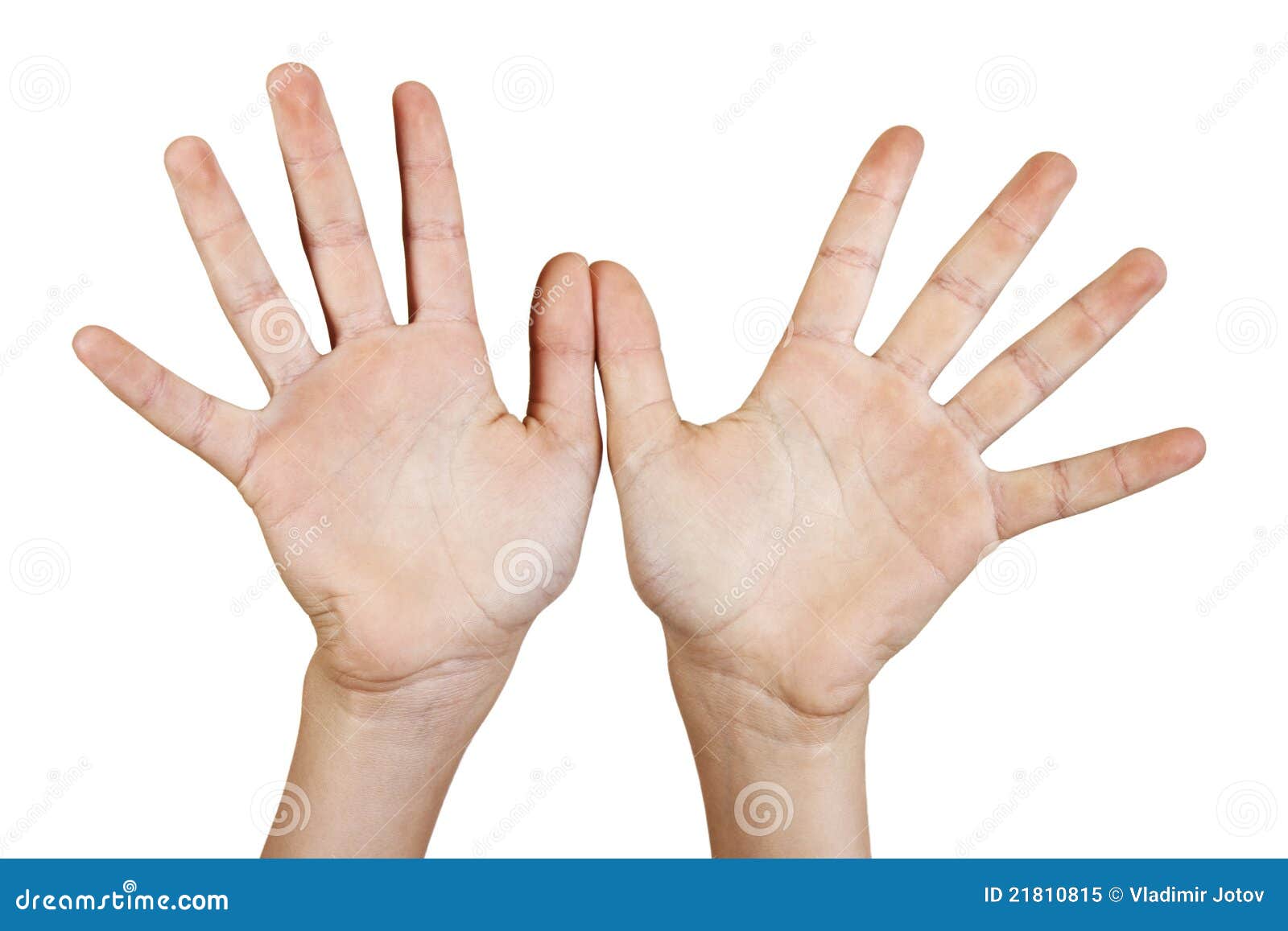 Due mani aperte. immagine stock. Immagine di mano, raggiungere - 21810815