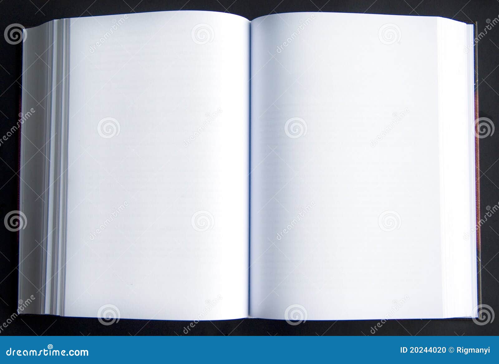 Due Pagine in Bianco in Un Libro Fotografia Stock - Immagine di pagina ...