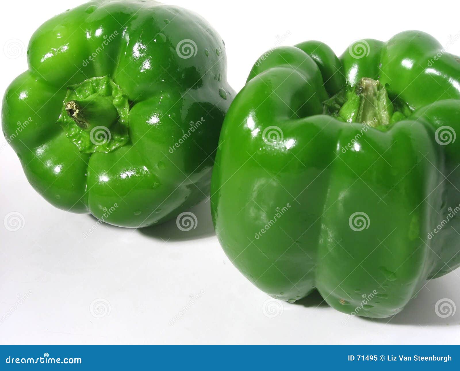 Due peperoni verdi immagine stock. Immagine di verde, bagnato - 71495