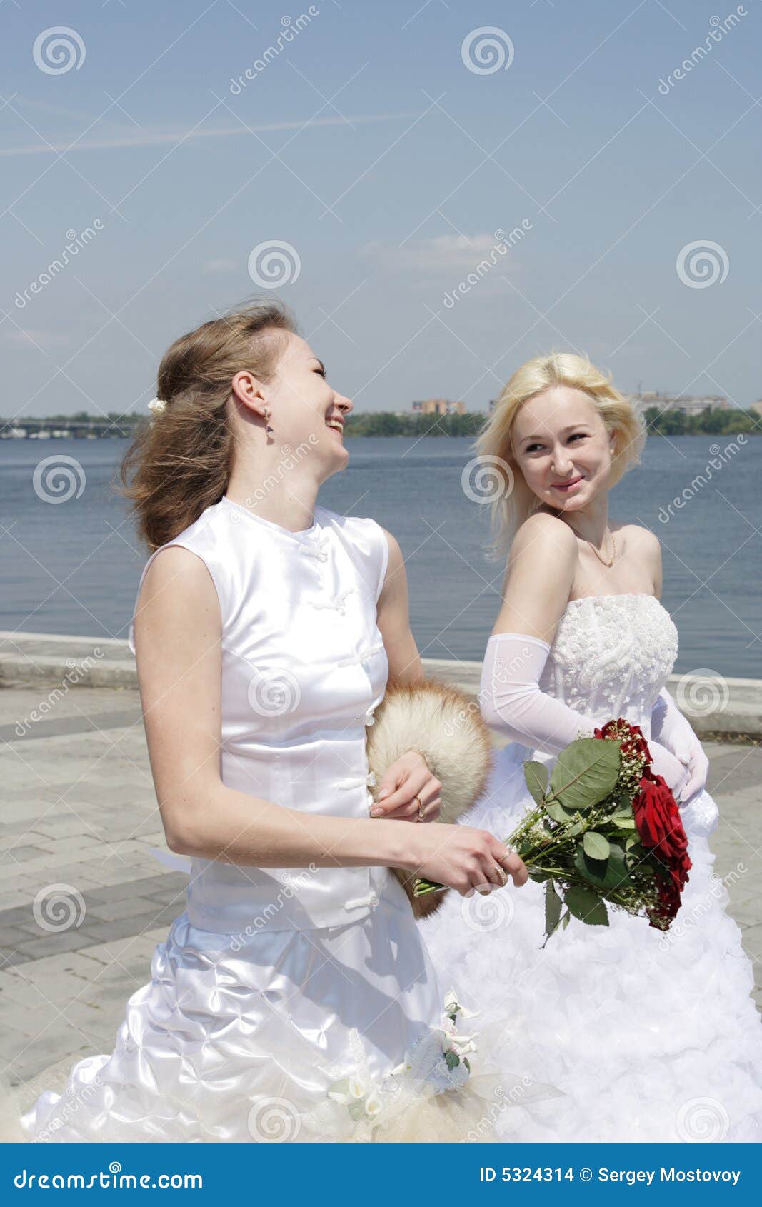 Due spose fotografia stock. Immagine di sposa, felicità - 5324314