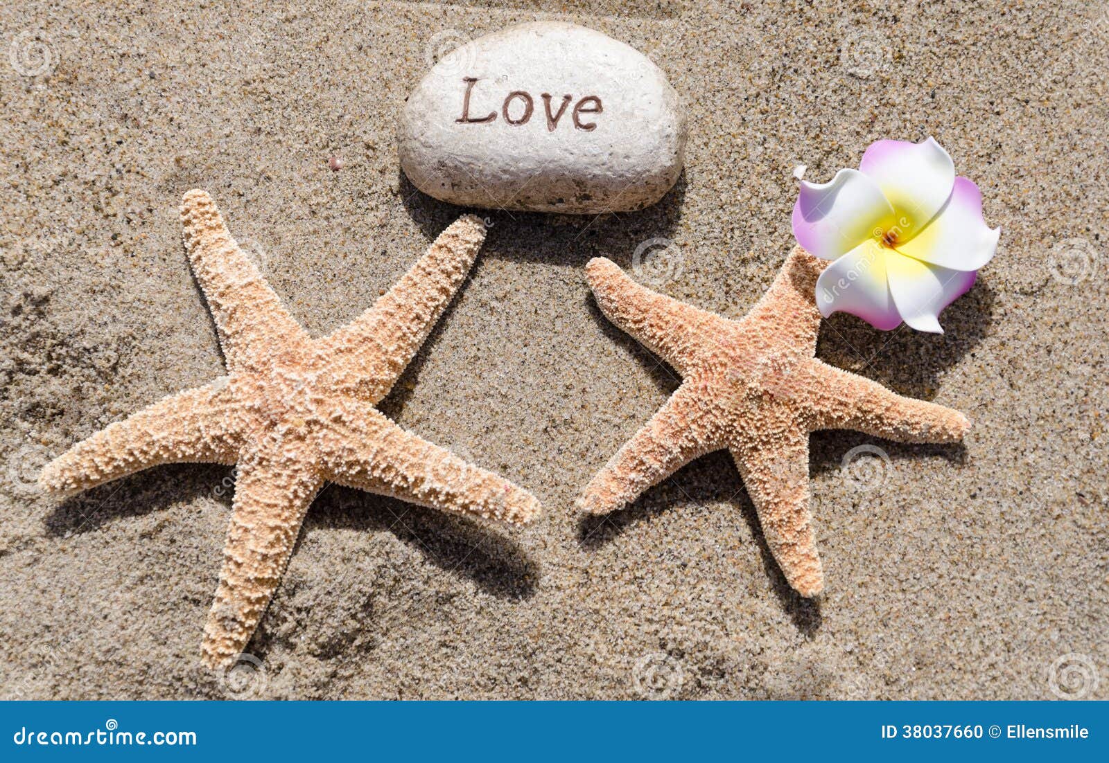 Due Stelle Marine Con Roccia Sulla Spiaggia Fotografia Stock - Immagine ...